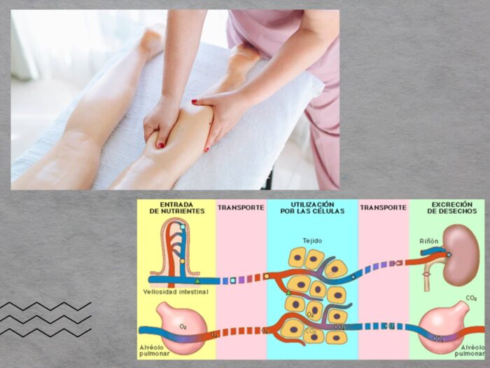CEMA CLINIC | Drenaje linfático | Linfedema | sistema Vodder